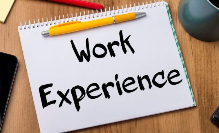 Work Experience Placements - Dene Magna School